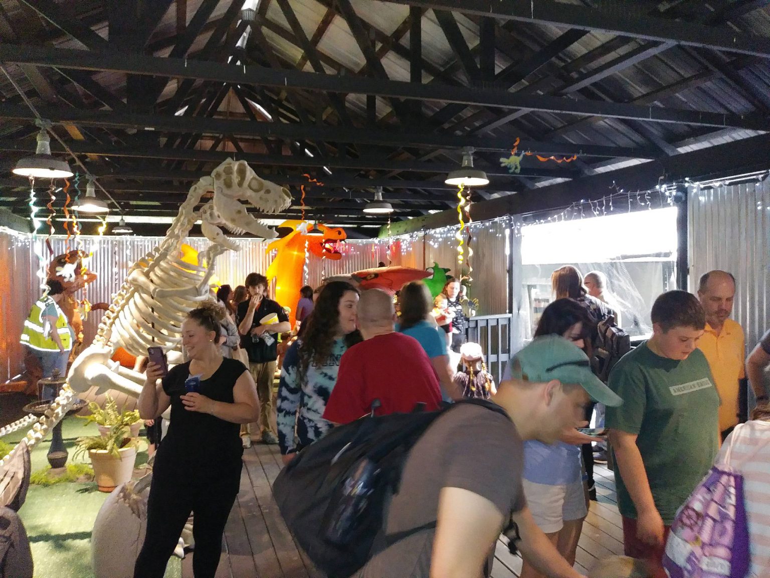 Dinosaur Express Train | LRHS